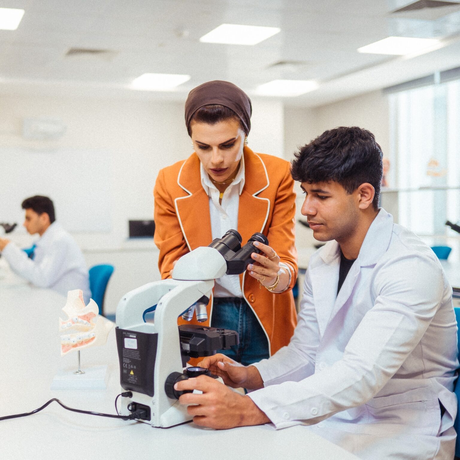 Programs - Badya University